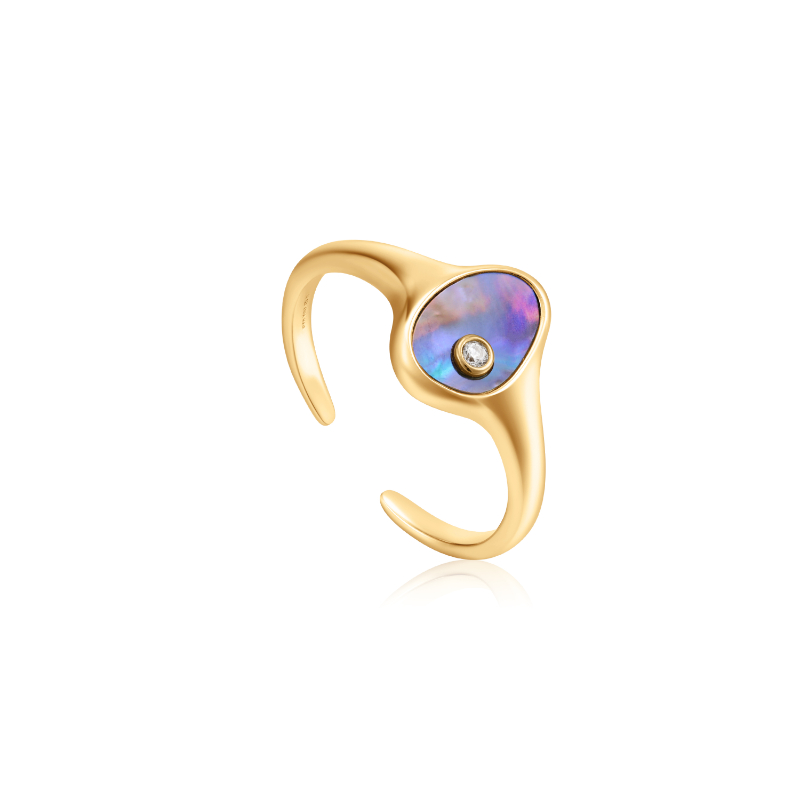 Tidal Abalone Adjustable Signet Ring - R027-01G